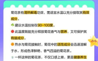 菊花茶怎么泡才正确好喝_菊花茶水温多少度最佳