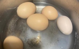 八爪鱼炖肉怎么做_八爪鱼炖肉的家常做法