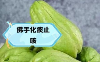 佛手瓜的害处有哪些_佛手瓜吃多了有什么副作用