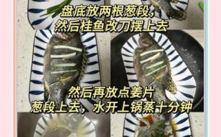 鳜鱼怎么做好吃_清蒸鳜鱼做法步骤