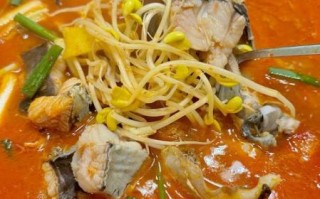 酸鱼汤的做法大全家常_酸鱼汤怎么做好吃