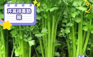 芹菜降血压真的有用吗_芹菜不能和什么一起吃