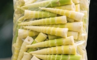 竹笋笋尖怎么做好吃_竹笋笋尖的家常做法