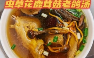 鹿茸菇鸽子汤的做法_鹿茸菇鸽子汤怎么炖最营养