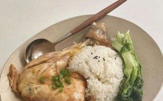 鸡腿饭怎么做好吃_家常鸡腿饭做法大全