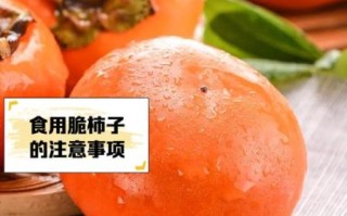 甜脆柿子的功效与作用_吃甜脆柿子会上火吗