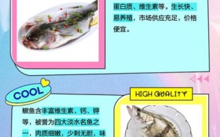 鲈鱼好吃还是桂鱼好吃_哪个更鲜美