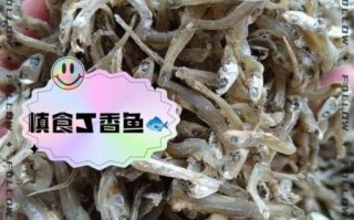 丁香鱼怎么做好吃_橄榄树适合种在哪里