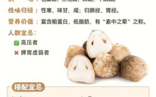 草菇的功效与作用禁忌_草菇什么人不能吃