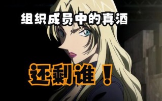 黑衣组织没用过的酒名有哪些_如何挑选冷门烈酒