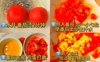 西红柿怎么炒_西红柿炒鸡蛋先放哪个
