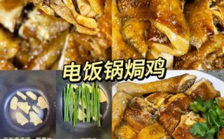 电饭煲鸡的做法大全_电饭煲鸡怎么做好吃