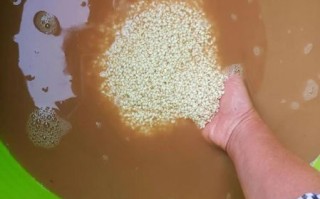 包粽子大米泡了三天还能用吗_如何补救