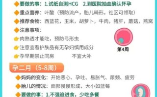 补充dha的食物有哪些_孕妇如何补dha最快