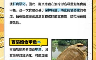 甲鱼的功效与作用及禁忌人群_哪些人不能吃甲鱼