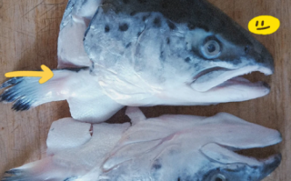 三文鱼头煲汤怎么做_三文鱼头煲汤的营养价值