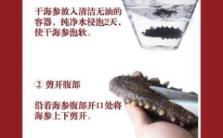 水发海参的正确方法_海参怎么泡发最快
