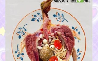 鸽子怎么做好吃_鸽子汤的家常做法