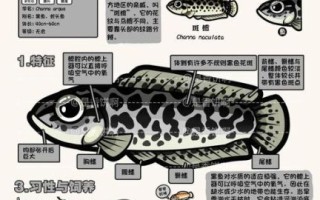 鯮鱼灭绝了吗_鯮鱼灭绝原因是什么