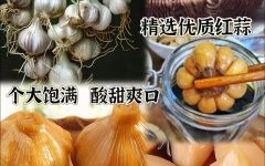 醋蒜的功效与作用_醋蒜怎么吃效果最好