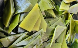 鲜海带怎么做好吃_鲜海带的家常做法窍门