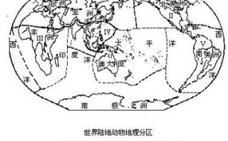 动物地理区划有哪些_全球六大界如何划分