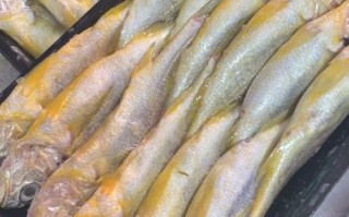 黄花鱼是海鱼还是河鱼_黄花鱼产地在哪里