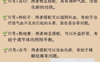 川芎的功效与作用_川芎能治疗哪些疾病