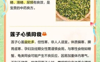 莲子心伤肾厉害吗_莲子心肾毒性真相