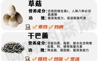 蘑菇的种类有哪些_蘑菇名称大全