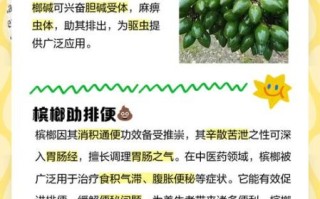 槟榔的功效与作用_槟榔的禁忌有哪些