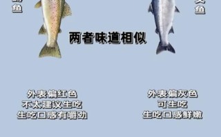 鳟鱼和三文鱼的区别_哪个更好吃