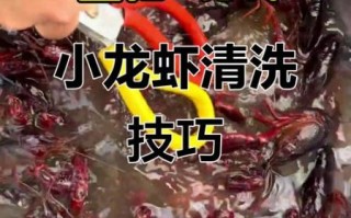 小龙虾怎么清洗_家常做法步骤
