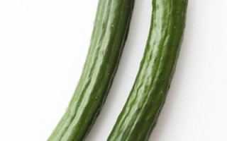 青瓜图片大全_青瓜高清图片怎么找