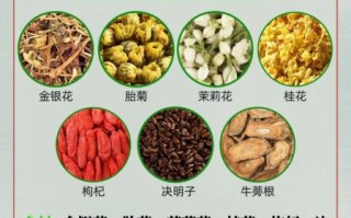 养生花茶有哪些种类_喝什么花茶最养肝明目