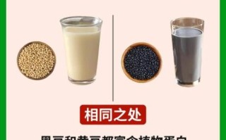 黑豆浆和黄豆浆哪个好_黑豆浆和黄豆浆的区别