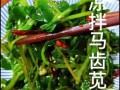 凉拌苋菜怎么做_苋菜焯水几分钟才脆绿