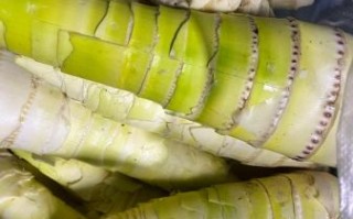 粗笋怎么做好吃_粗笋的做法大全图解