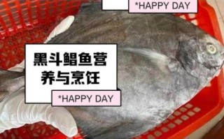 黑鲳鱼价格多少钱一斤_黑鲳鱼为什么贵