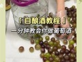 葡萄酒怎么在家酿_自酿葡萄酒步骤详解