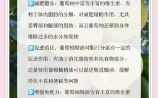 葡萄柚精油减肥怎么用_葡萄柚精油减肥多久见效