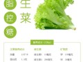 生吃生菜的功效与作用_生吃生菜能减肥吗