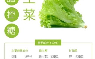 生吃生菜的功效与作用_生吃生菜能减肥吗