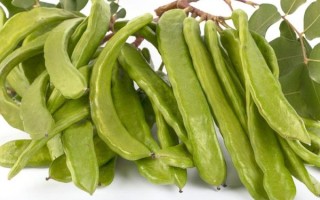 扁豆角焯水几分钟就熟了_焯水时间怎么掌握