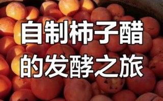 自制柿子醋的正确方法_柿子醋发酵多久能喝