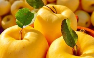 冬天吃什么水果好_冬季水果推荐