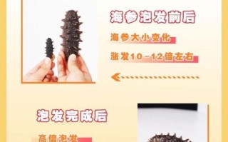 干海参怎么泡发_干海参的做法大全图解