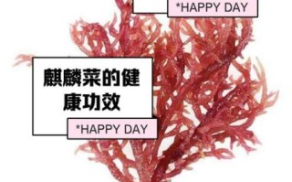 麒麟菜怎么做_麒麟菜的做法步骤