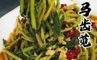 马齿苋怎么做好吃_马齿苋的家常做法大全