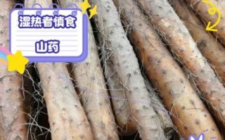 铁棍山药不适宜人群有哪些_什么人不能吃铁棍山药